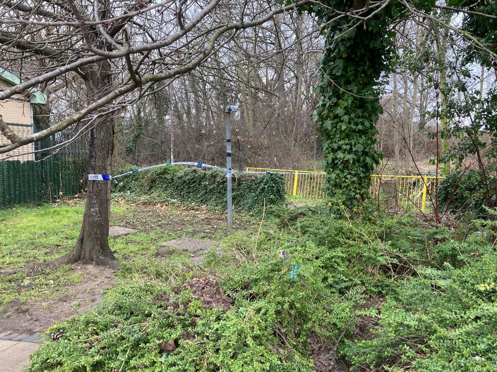 Chingford 'murder': Victim lived in woodland hut - Waltham Forest Echo