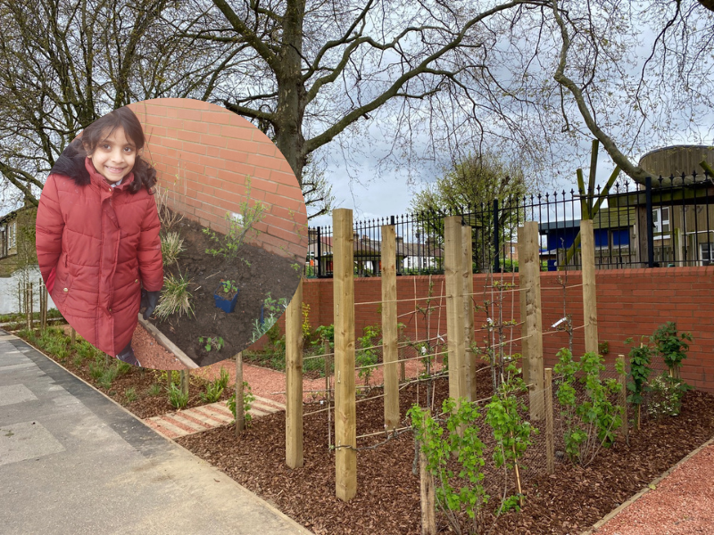 Plant the town green - Waltham Forest Echo