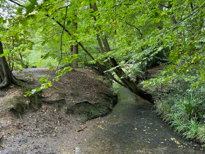 River Ching to benefit from significant improvement projects - Waltham ...