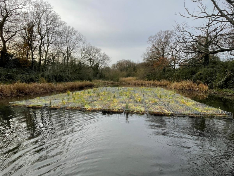 Floating reedbed launched in Wanstead Park pond - Waltham Forest Echo