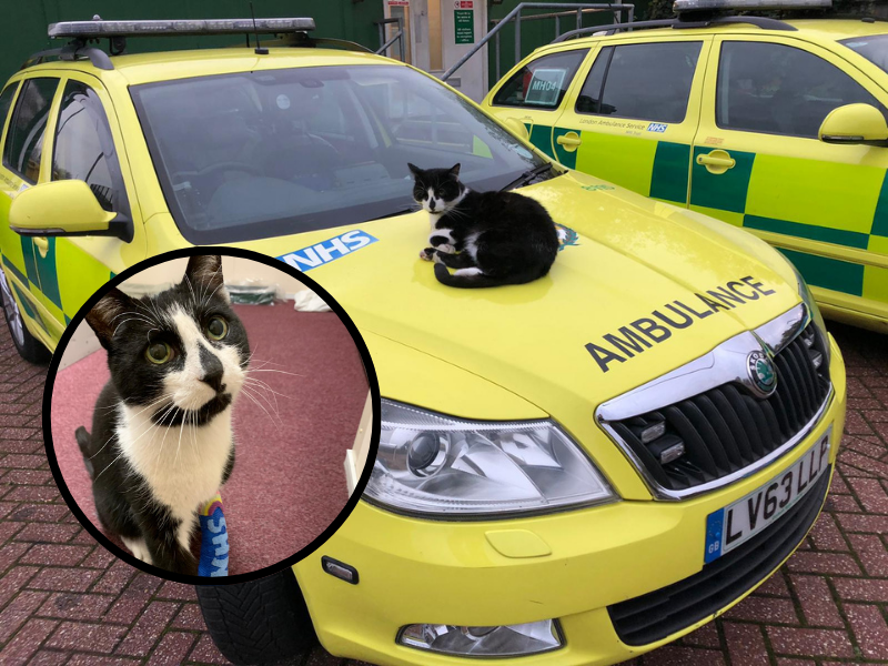 Walthamstow Ambulance Station staff raise money for defibrillators in ...