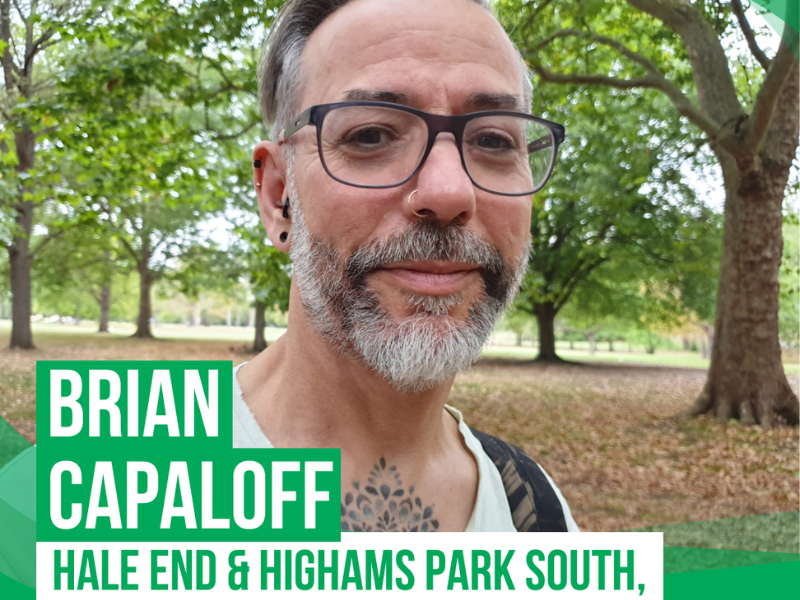 Green Party investigates 'antisemitic' tweets allegedly made by local ...